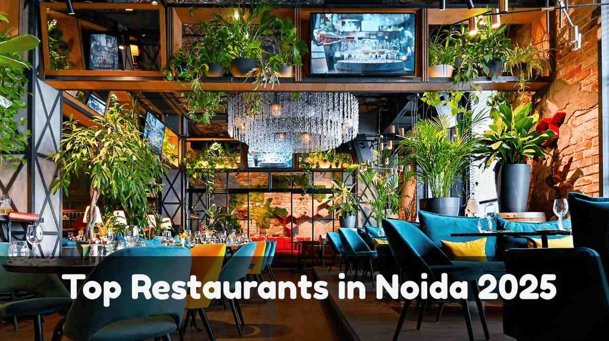 Top Restaurants in Noida 2025 – Best Dining Spots to Visit